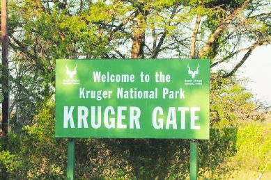 New tourism model for Kruger National Park | The Citizen