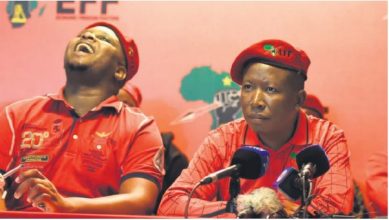 EFF accused of also having sex in their offices | The Citizen