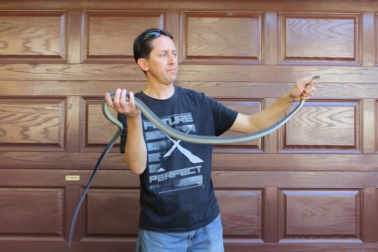 WATCH: Large black mamba found on Durban woman’s bed | The Citizen
