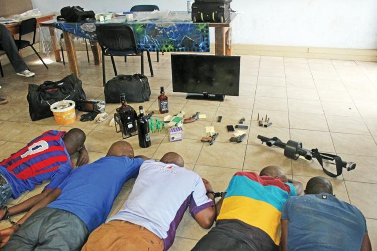 Gardener an accomplice to house robbery | The Citizen