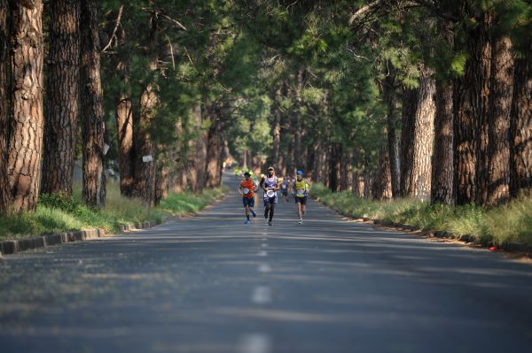 GALLERY: Wings for Life World run | The Citizen