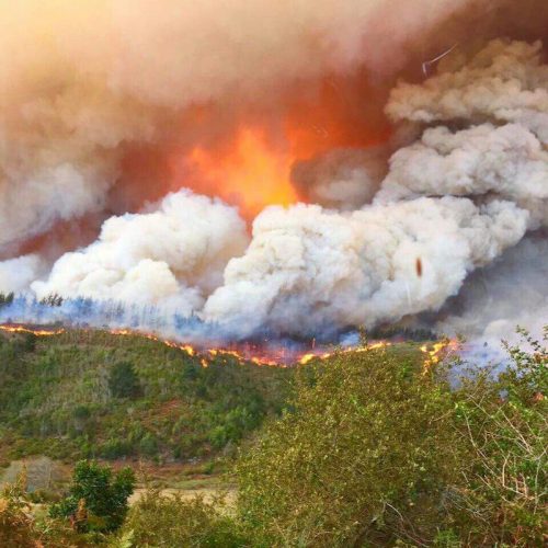 Santam releases independent disaster report on Knysna fires | The Citizen
