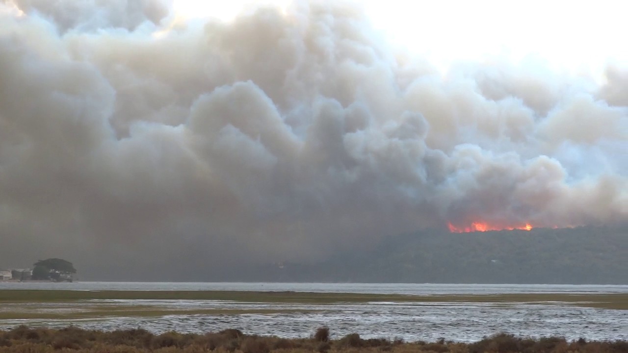 Santam releases independent disaster report on Knysna fires | The Citizen