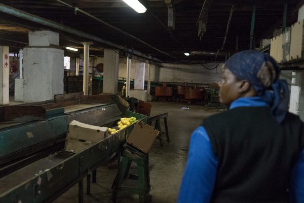 Russian investors inject R100m to save the 'failed' Zebediela farm ...