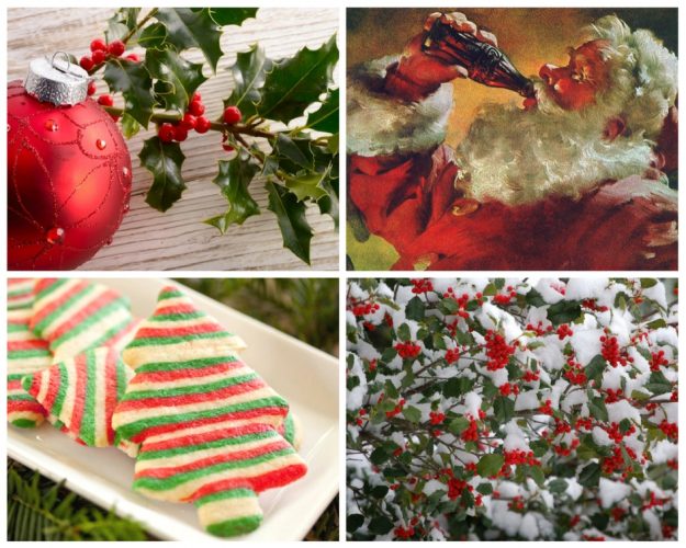 Why red and green are the colours of Christmas | The Citizen
