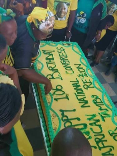GALLERY: ANC's 'revolutionary' cakes | The Citizen