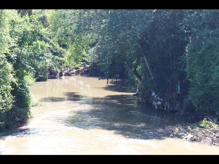 Centurion's river of despair | The Citizen