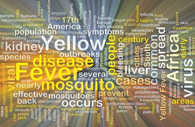 The A to Z of yellow fever | The Citizen