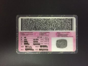 How to book online to renew your driver’s licence in Gauteng | The Citizen