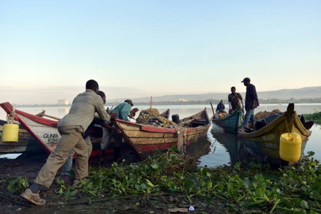 Smelly skins make for fishy fashions in Kenya | The Citizen