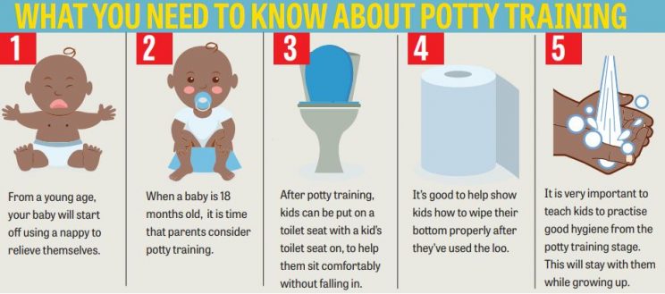What you need to know about potty training | The Citizen