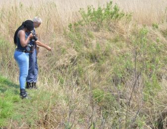 Decomposing body of woman found along river in KZN | The Citizen