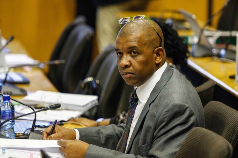 Dali Mpofu questions if SAA could be saved with R10bn of economic ...