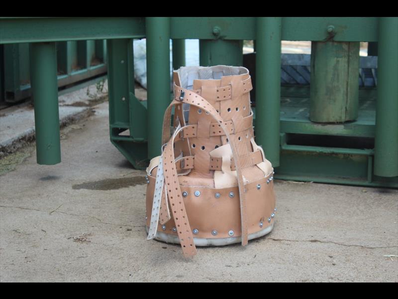 Pretoria company makes custom ‘healing boot’ for injured rhino | The ...