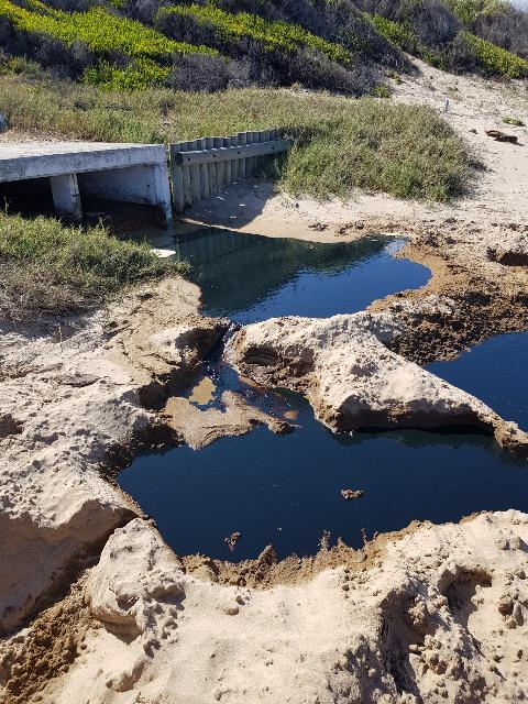 Crisis averted after petrochemical leak at beach in Mossel Bay | The ...
