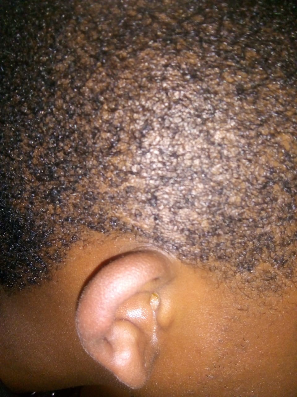 Pretoria retail centre plagued by insect infestation | The Citizen