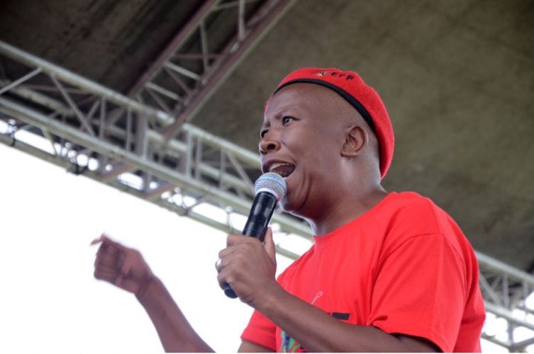 Ramaphosa's dogs eat better than some people - Malema | The Citizen