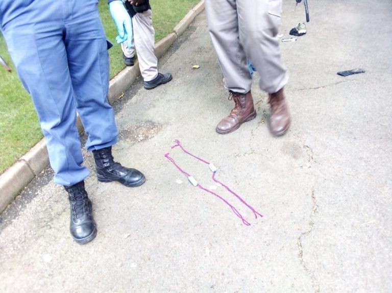 Four fleeing suspects crash into tree - despite carrying ‘protective ...