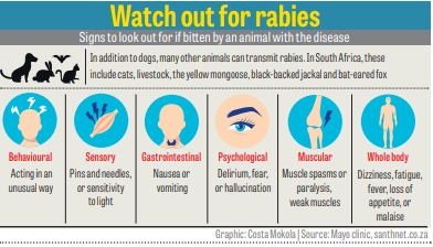 Rabies is preventable and treatable, but act fast | The Citizen