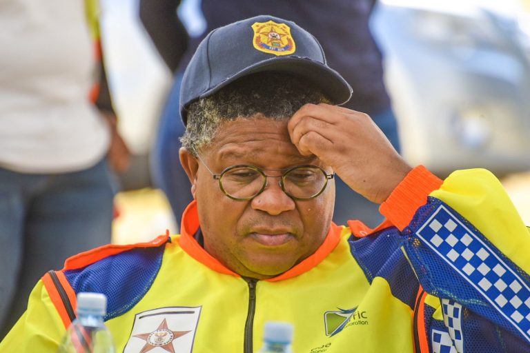 Fikile Mbalula a 'person of interest' in Wandile Bozwana murder | The ...