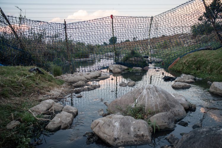 Trash Trap: Activists and volunteers erect giant net to save Hennops ...