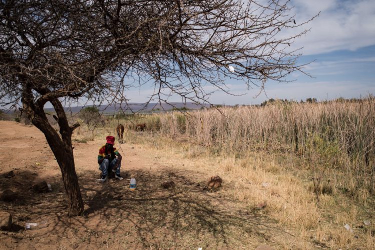 Rustic Rastas: The Mpumalanga village where everyone loves the herb ...