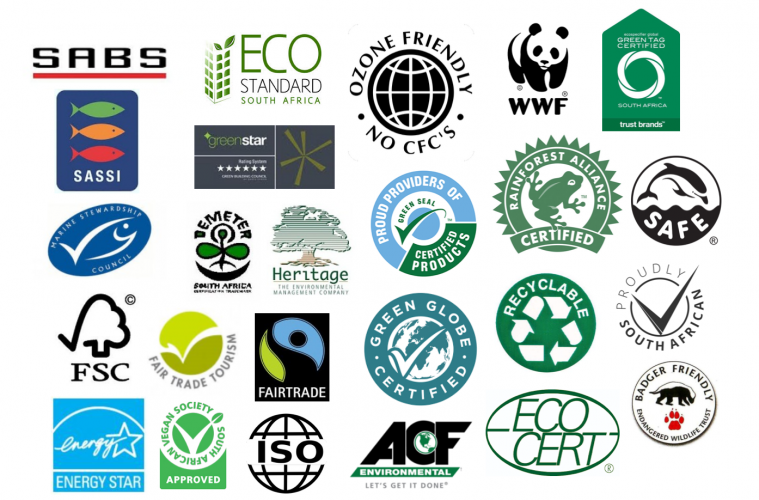 3 ways to empower your kids to fight climate change | The Citizen
