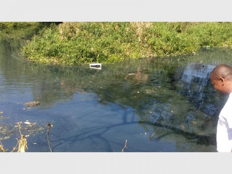 Oil spill at Boksburg Lake investigated | The Citizen