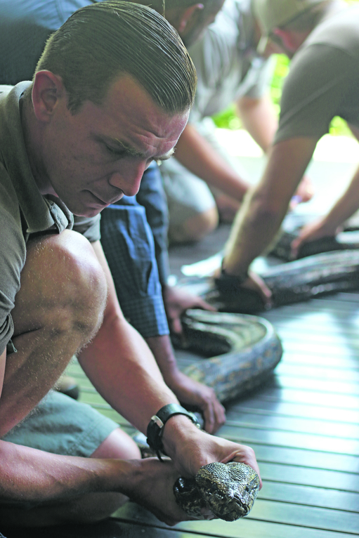 KZN snake experts microchip four-metre-long python caught at Zimbali ...
