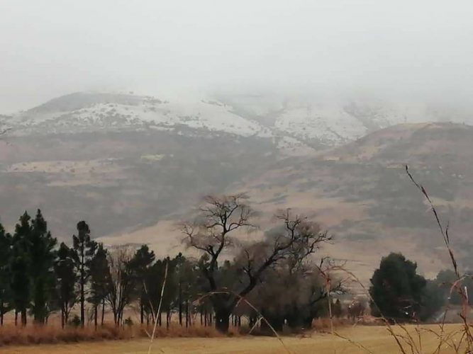 Watch: The big freeze...snow falls overnight in Gauteng, Free State and ...