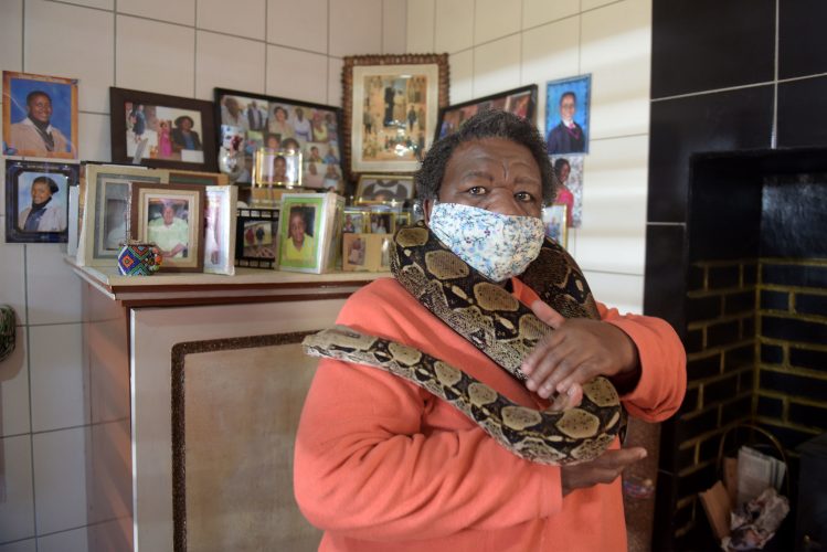 PICS: Lockdown squeezes Soweto 'snake home' tourist attraction | The ...
