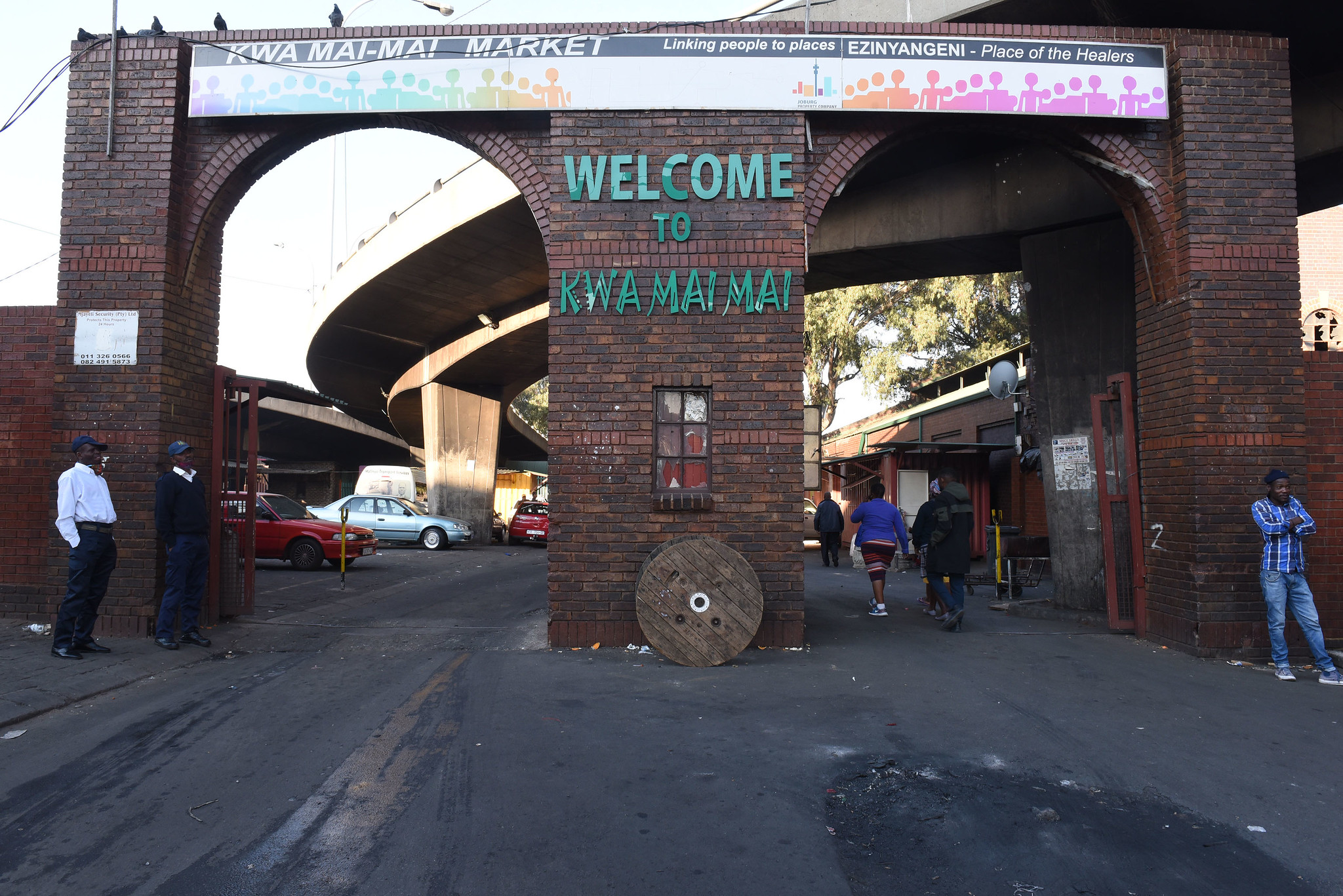 Video: Help us, there is no muti for hunger, healers plead with govt ...