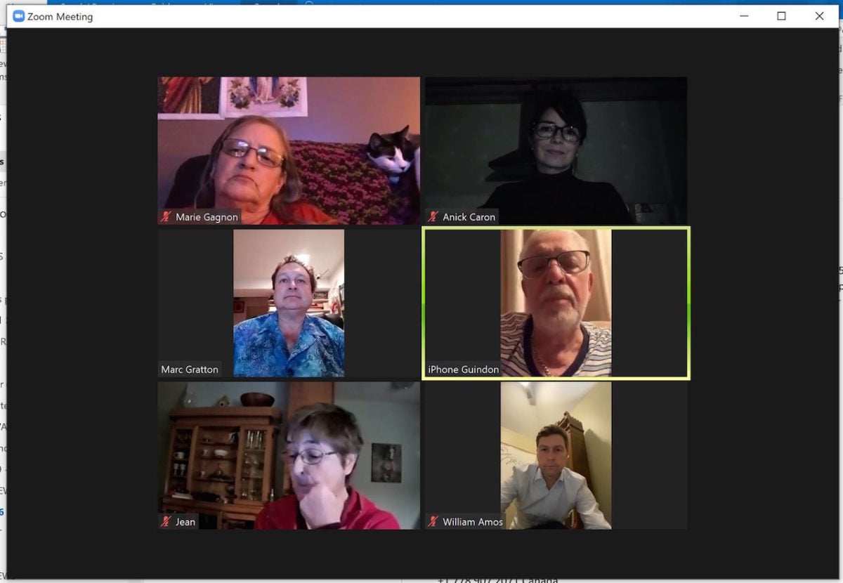 Canada MP apologises after being caught naked on Zoom call | The Citizen