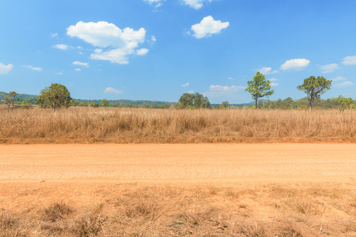 R110 million Mpumalanga road upgrade leads nowhere | The Citizen