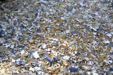 24 hours in pictures, 22 June 2021 | The Citizen