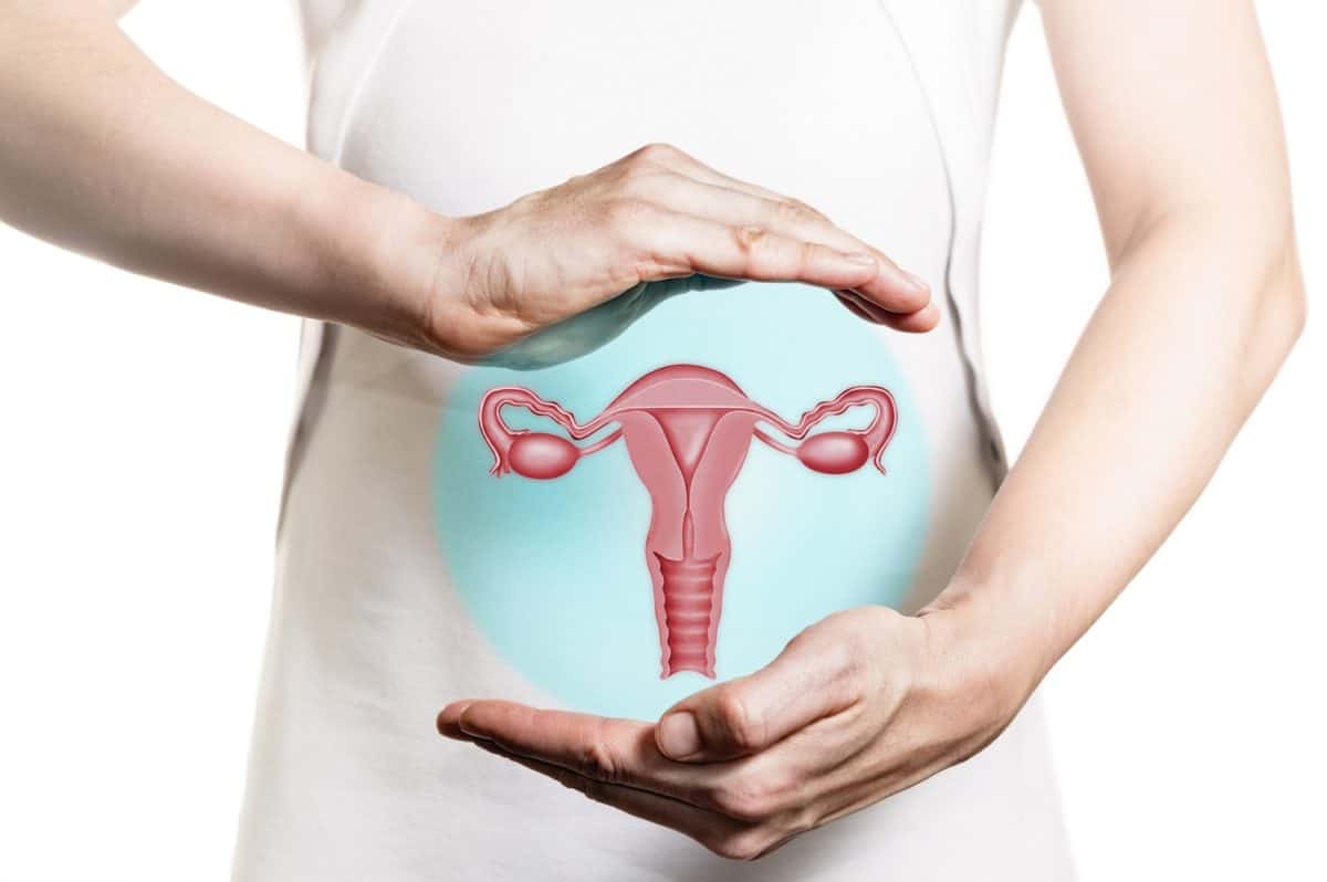 Vaginal Health 101 Ph Guidelines And Terminology To Get Acquainted With
