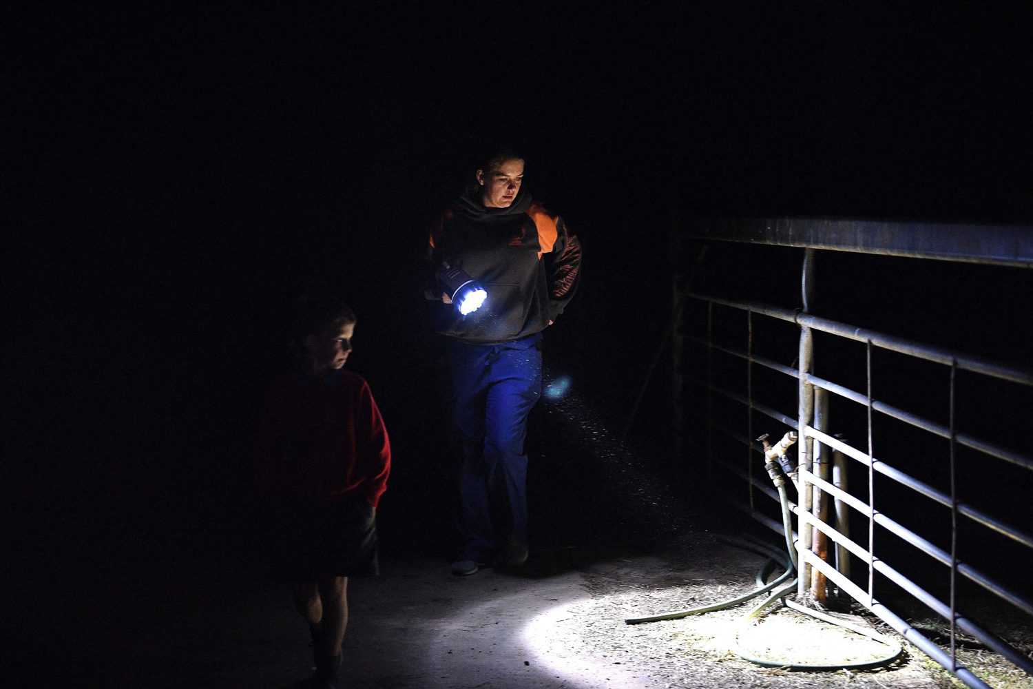 PICS: Devastating mouse plague overwhelms farmers in Australia