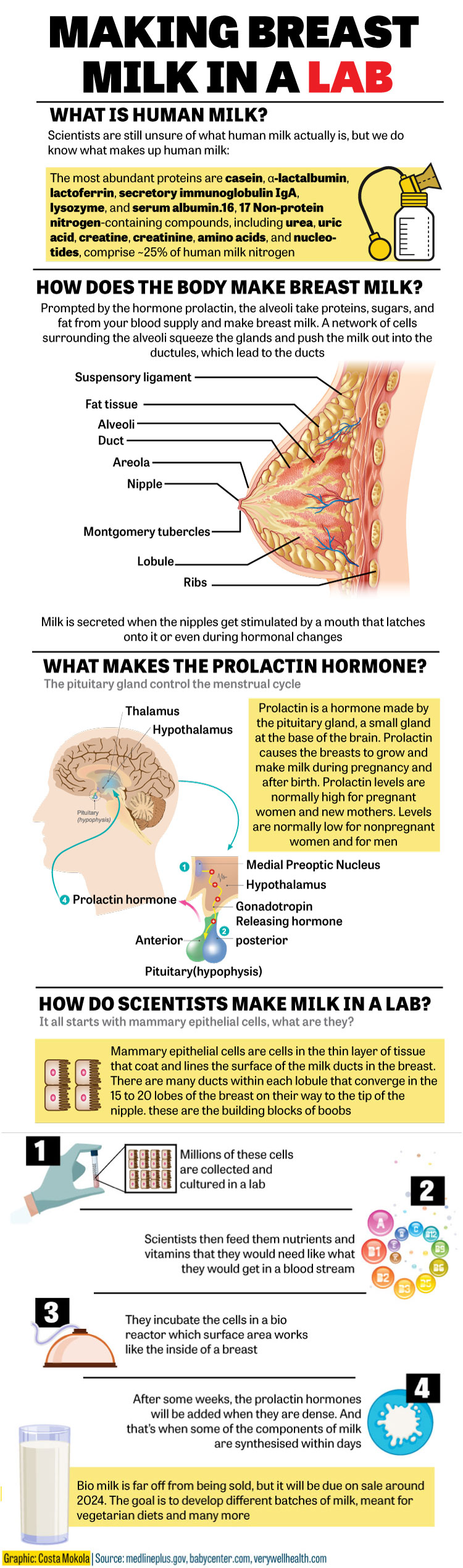 Breastless breastmilk coming soon to a baby aisle near you! | The Citizen