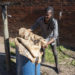 IN PICTURES: The making of a traditional Zulu shield | The Citizen
