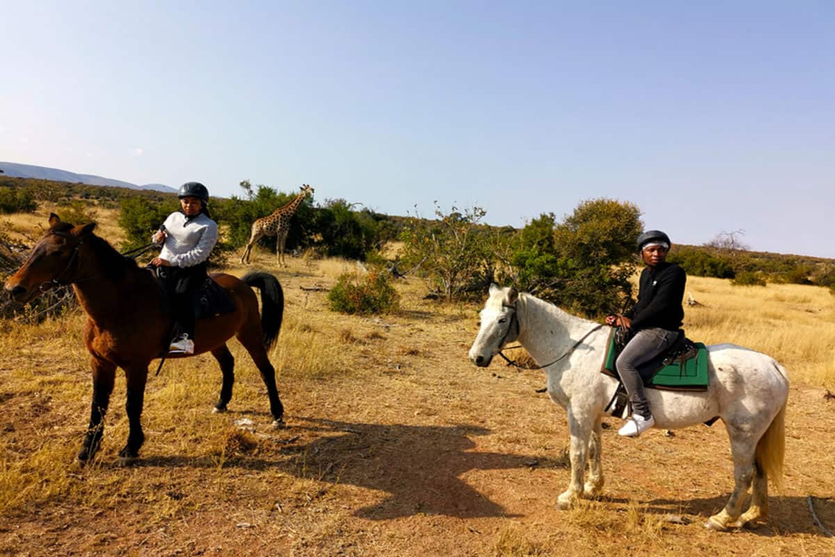 A weekend beaten around the bush at Zebula Lodge | The Citizen