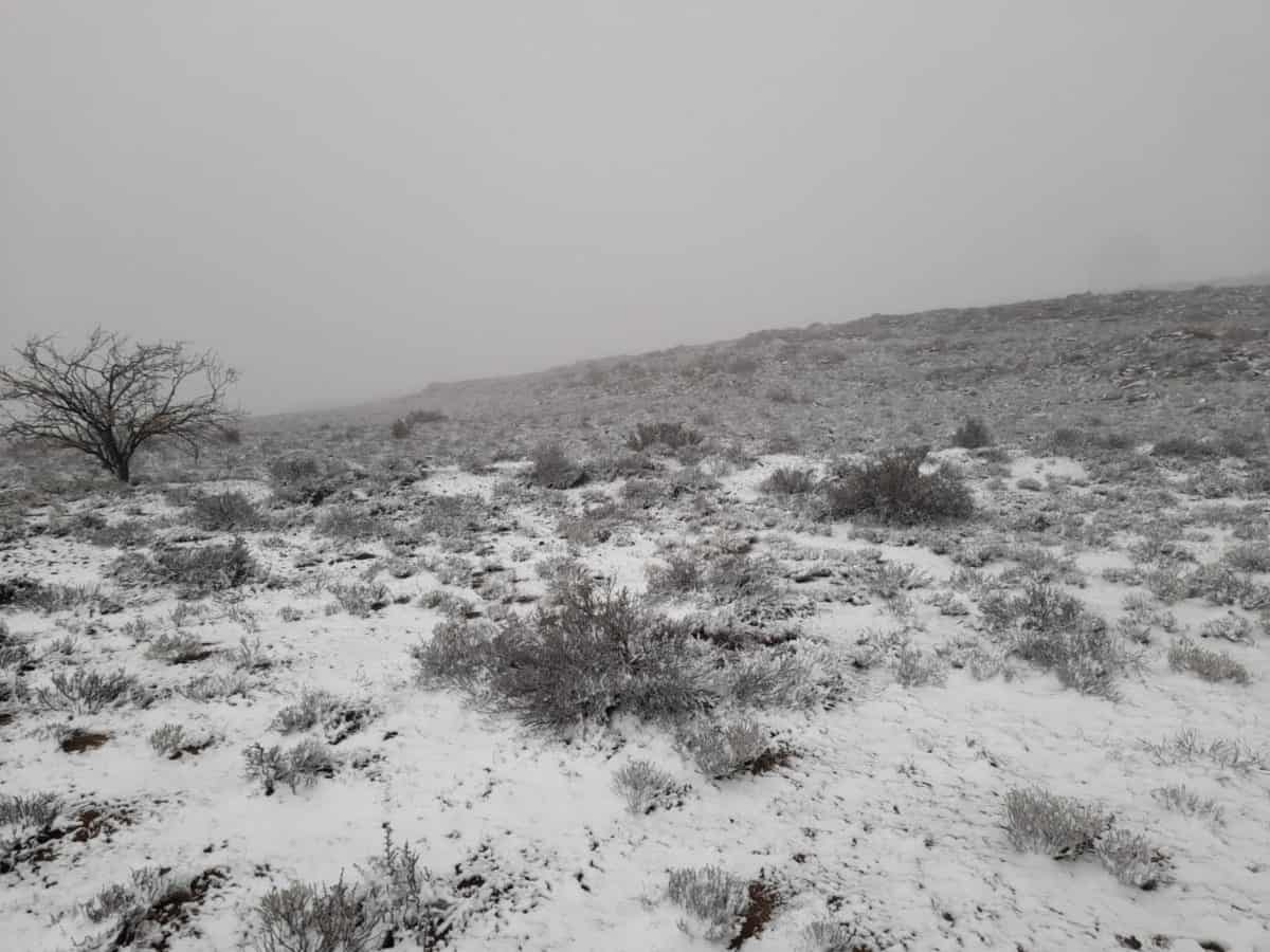 PICS: Stunning photos of snow in the Northern Cape | The Citizen