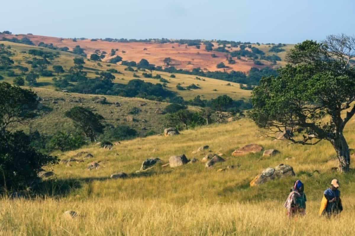 Tug of war over Xolobeni's rare minerals divides community