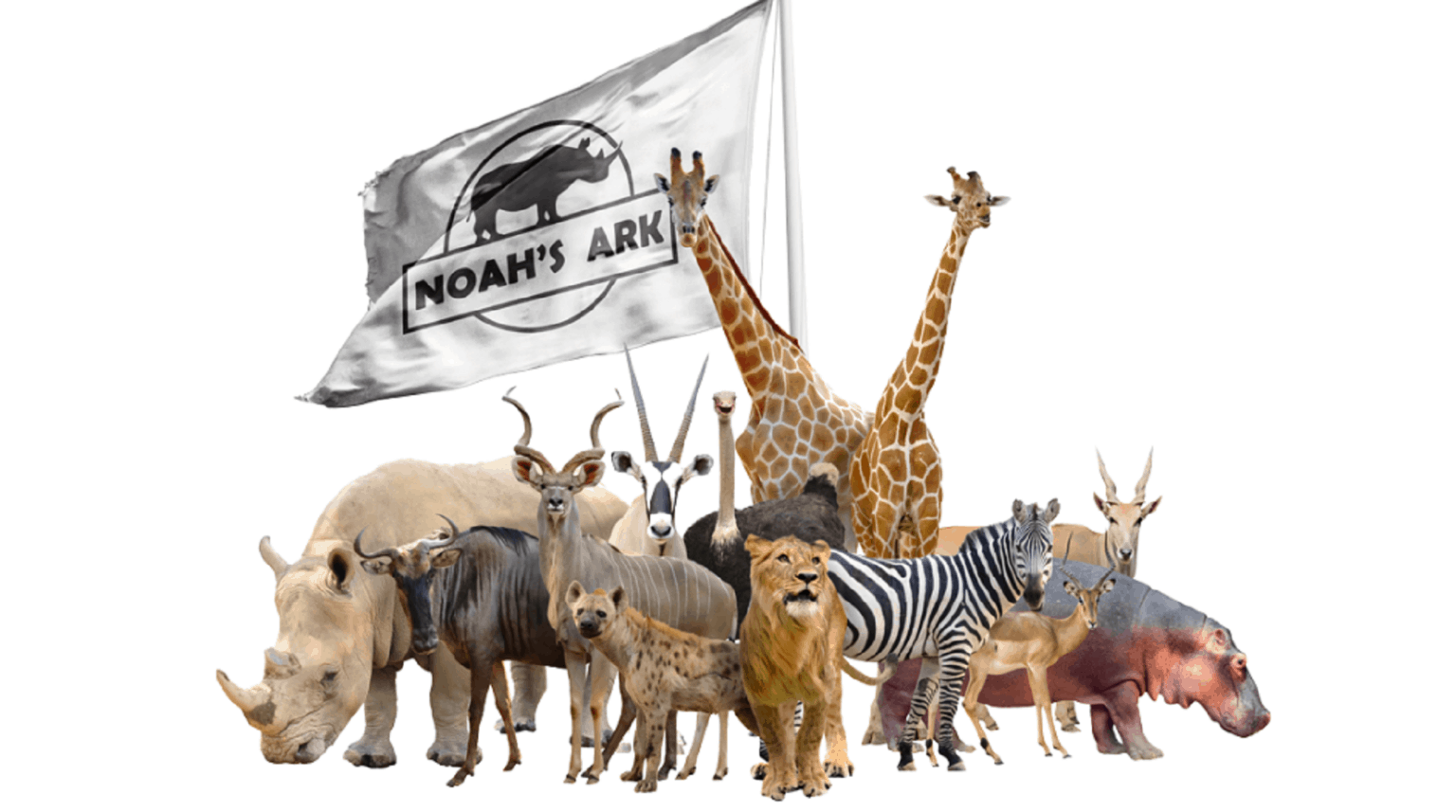 Noah's Ark Foundation aims to stop animals from being wiped out | The Citizen