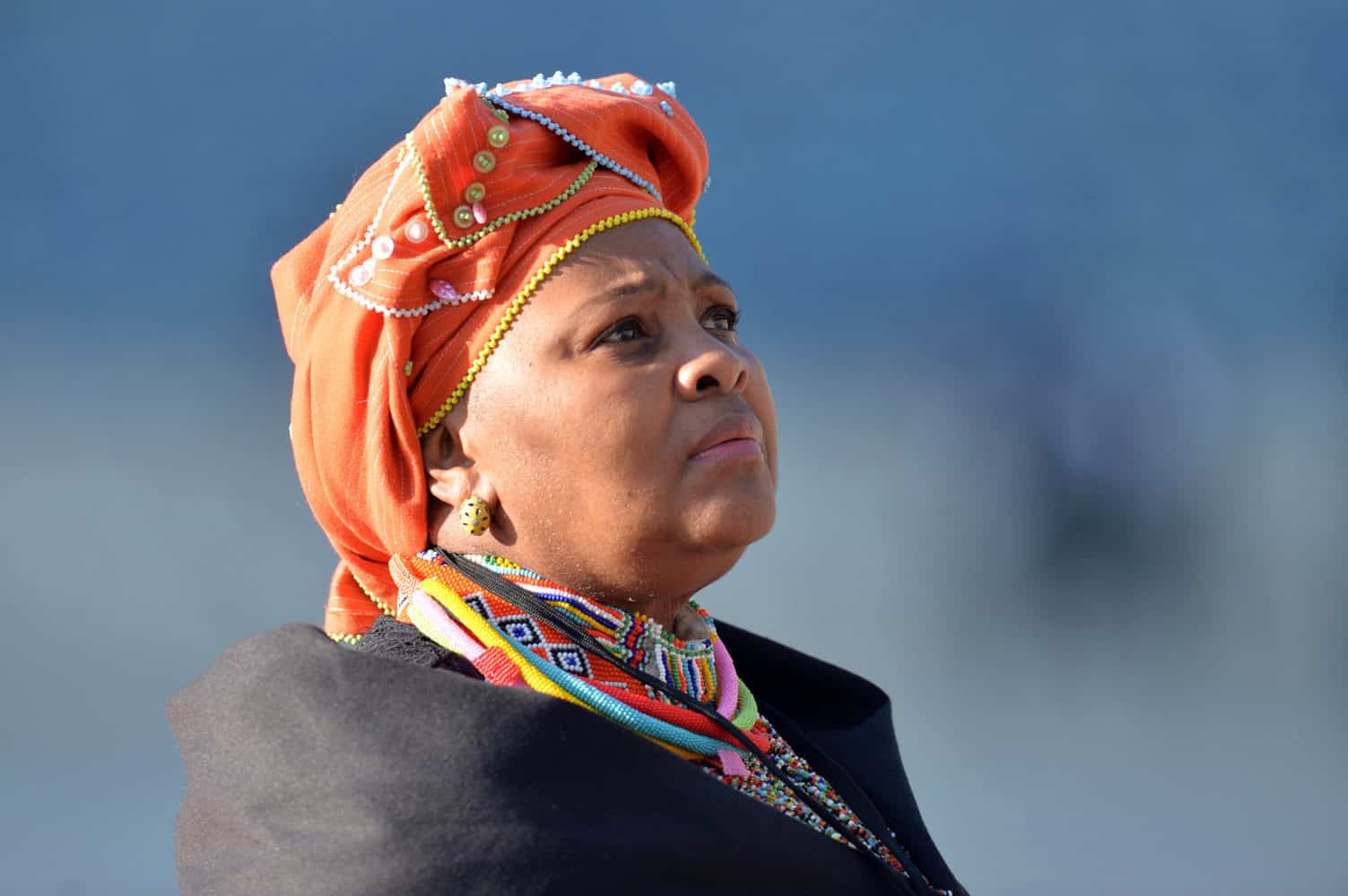 Mapisa-Nqakula appointed to mediate in the Russia-Ukraine conflict