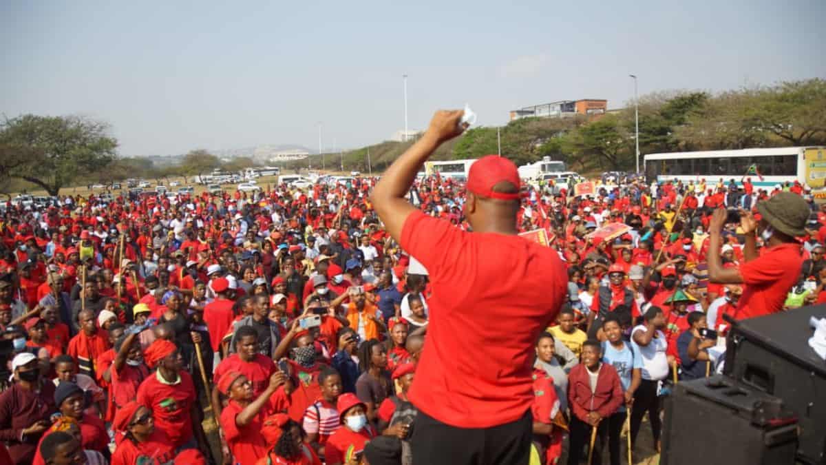 Malema to 'respond accordingly' to Phoenix 'attacks' | The Citizen