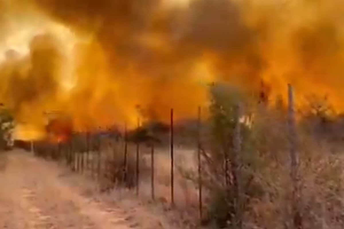 WATCH: Wildfire tears through Waterberg district in Modimolle