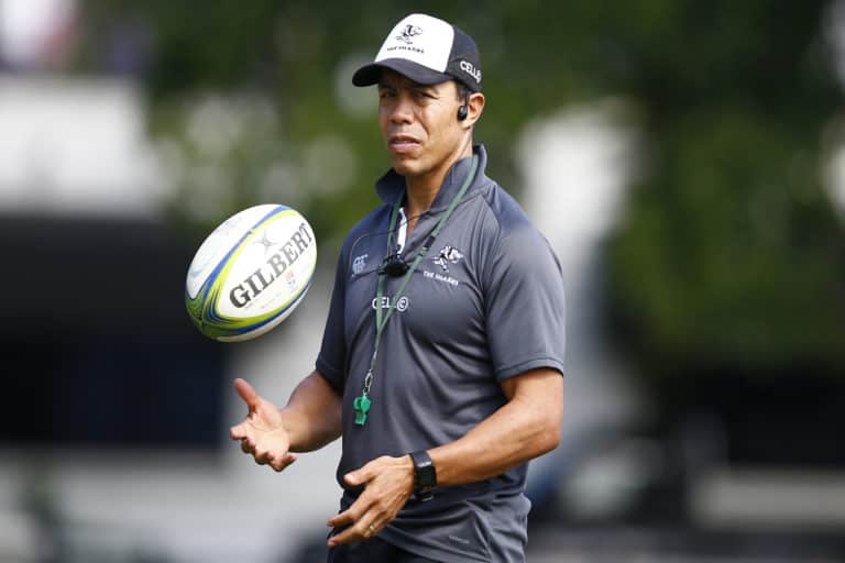 Lions name three former Boks in new-look coaching team | The Citizen