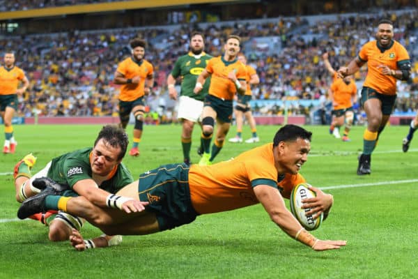 How the mighty Springboks have fallen | The Citizen