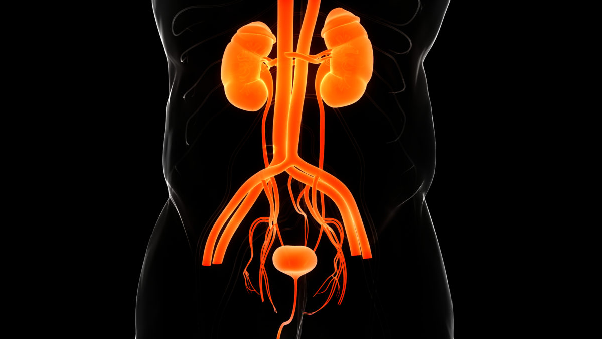 Understanding Urethritis and its symptoms, causes