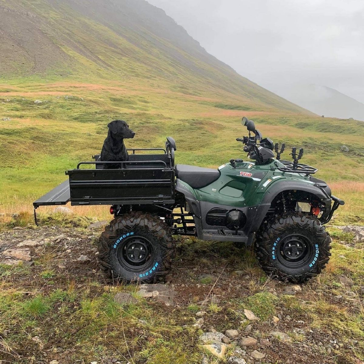 New quad-bike offers mobility for work or play | The Citizen